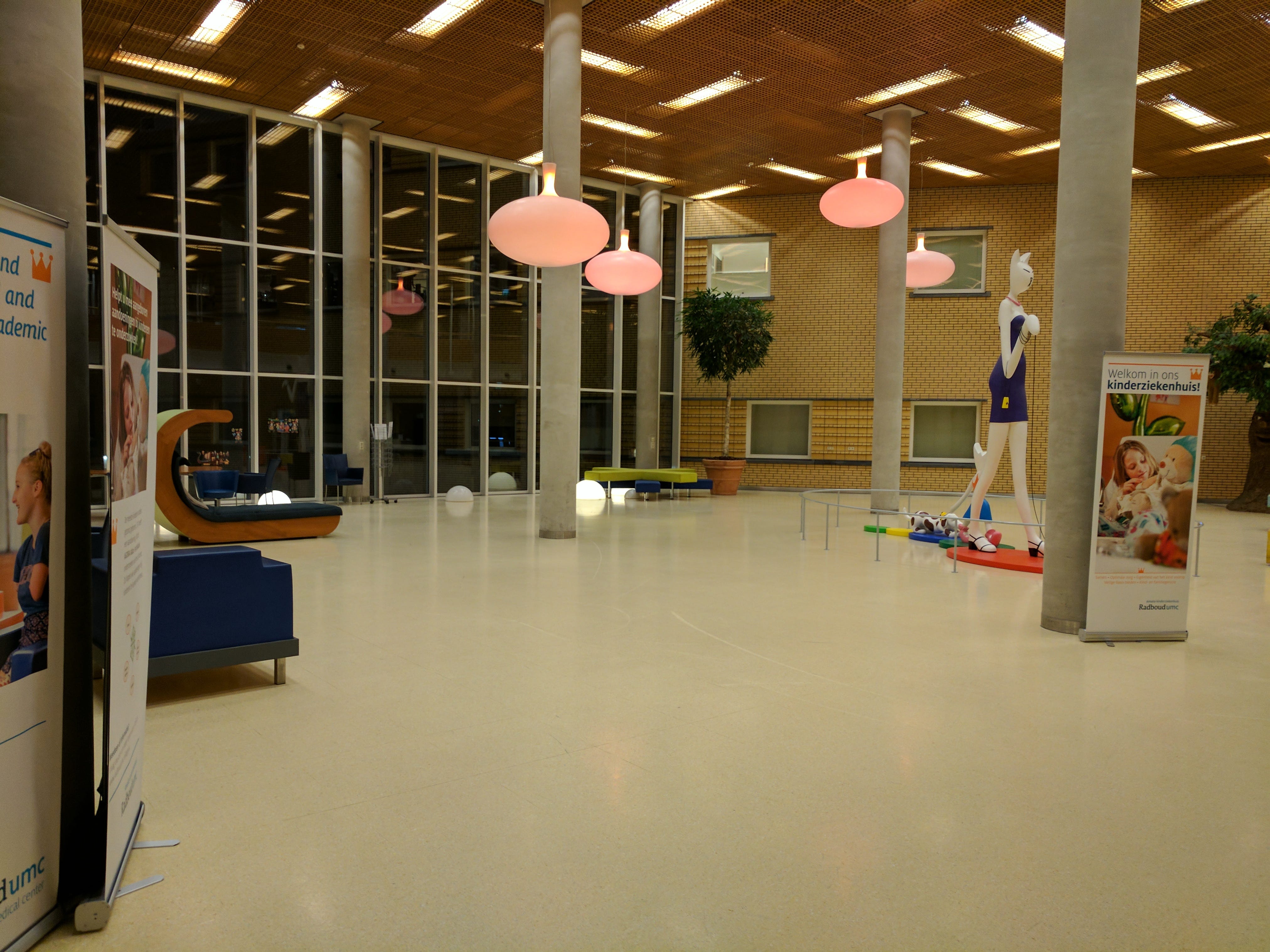 Field Trip: a Dutch hospital. Radboudumc is a large teaching hospital ...