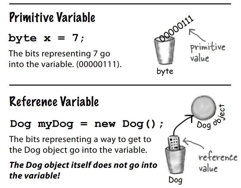 Chapter 3: Variables. There are two types of variables in… | by Sahan ...