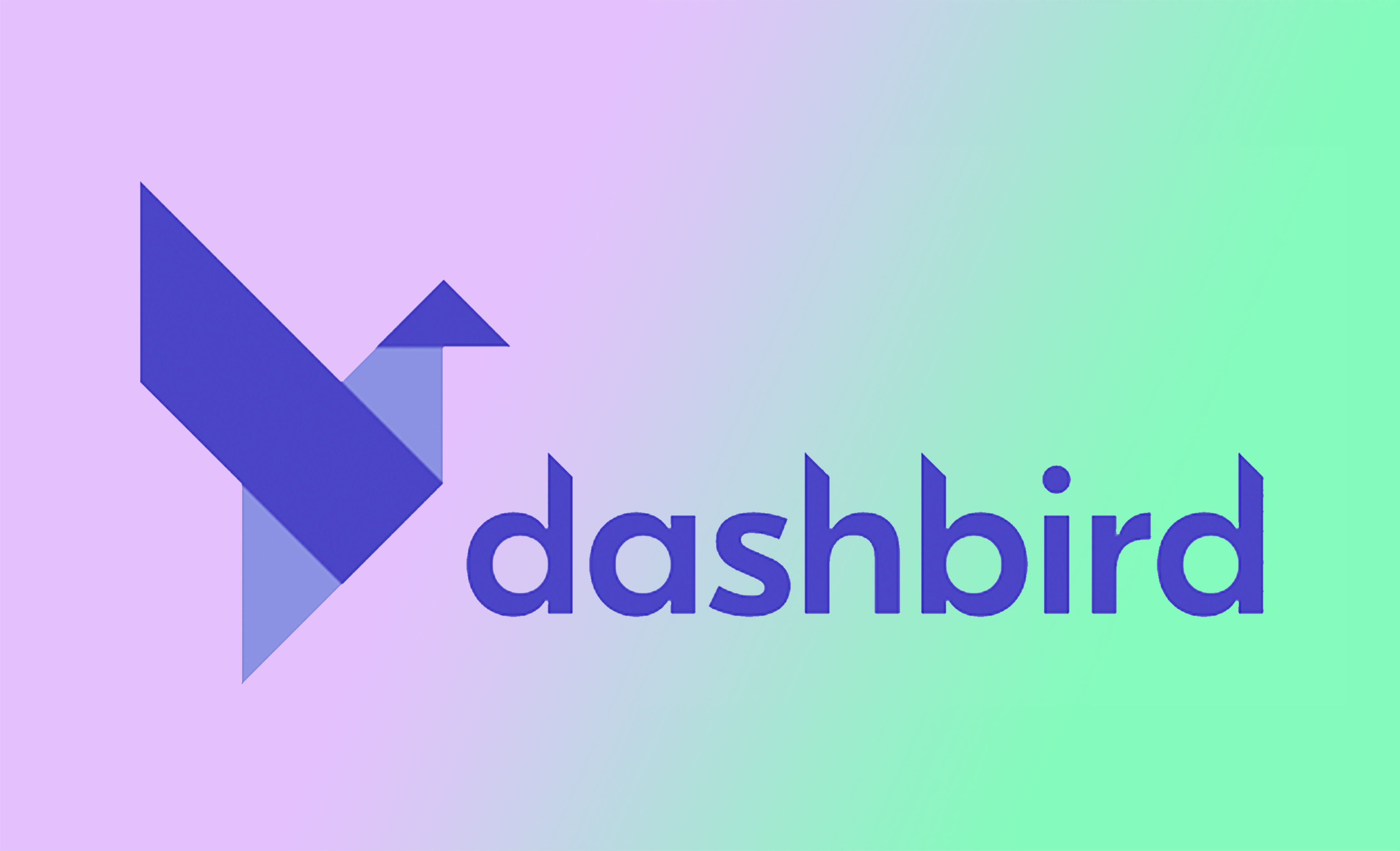Dashbird Raises $2.1 Million in Seed Funding to Help Companies ...