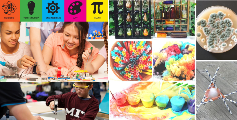 STEAM Training & Education can lead to Innovation and Creativity | by ...