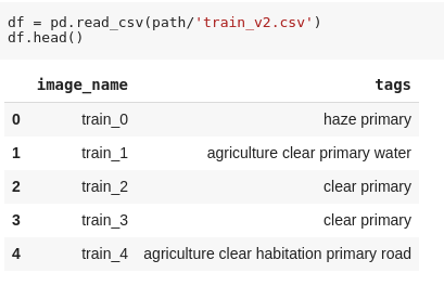 Multi-label classification using fastai — a shallow dive into fastai data-block API | by Rrohan ...
