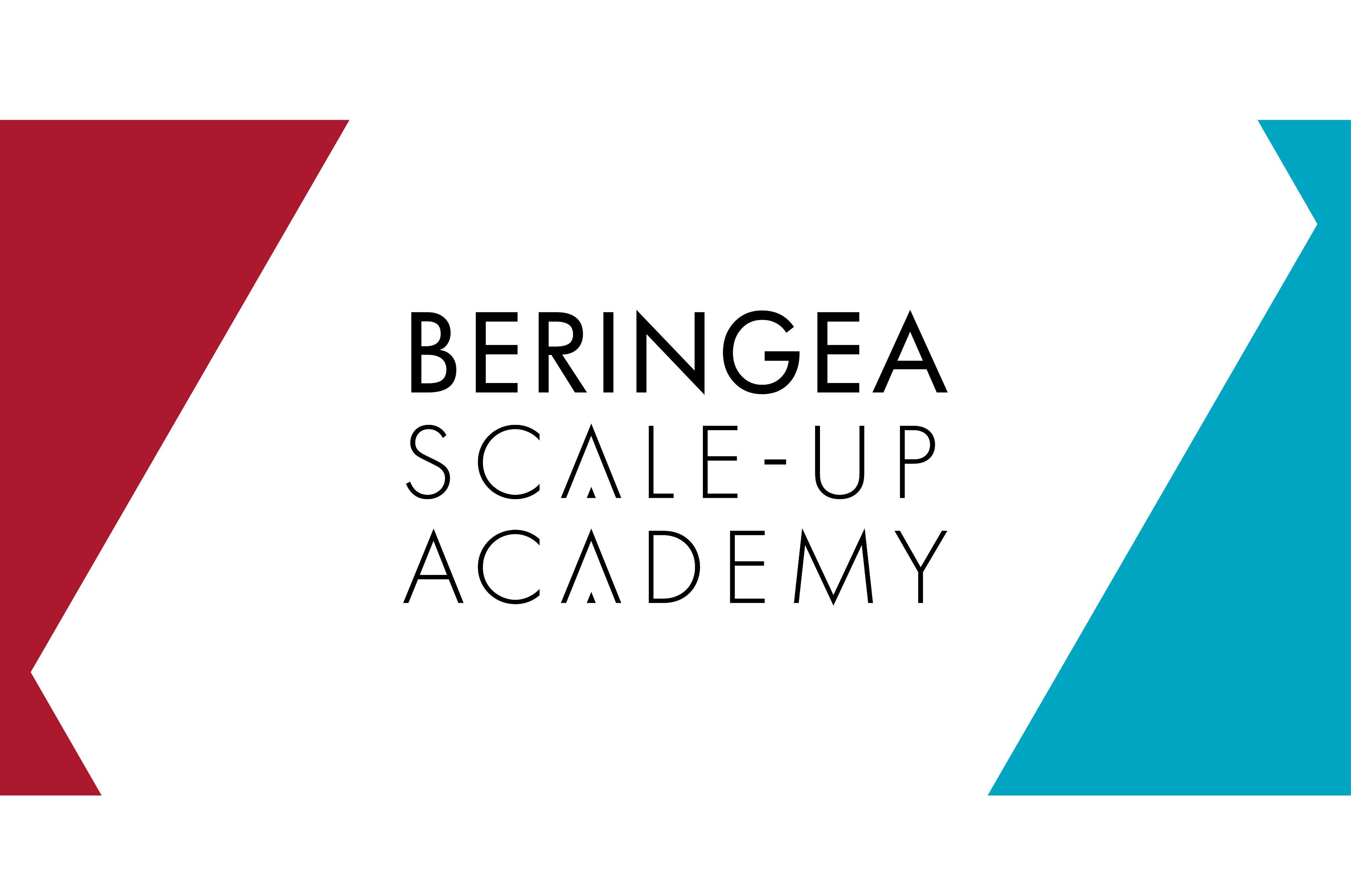2019 highlights as we close out the decade at Beringea