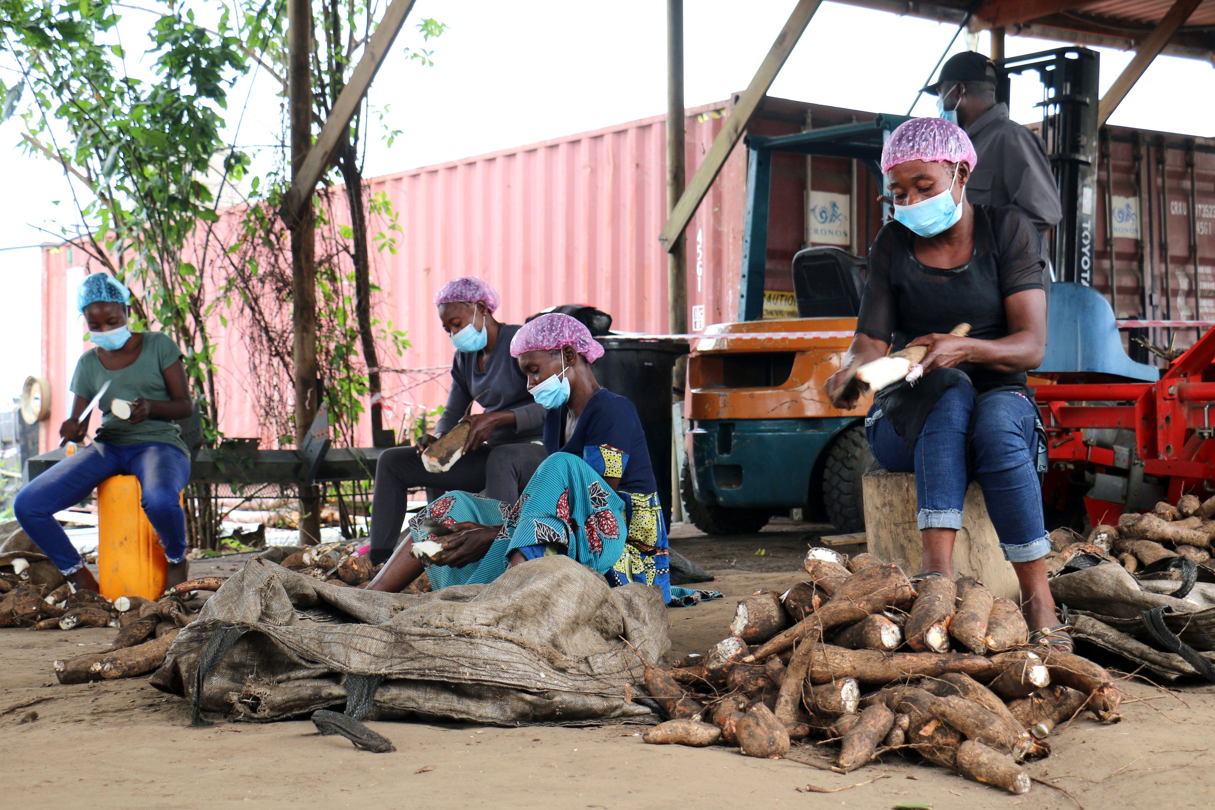 Congo’s white gold? WFP bags its first batch of cassava flour | by Jean ...