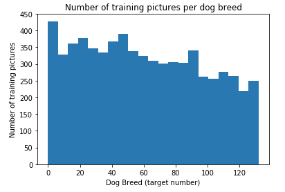 Algorithm for dog identification. Project Overview | by Haofei Ma | Medium