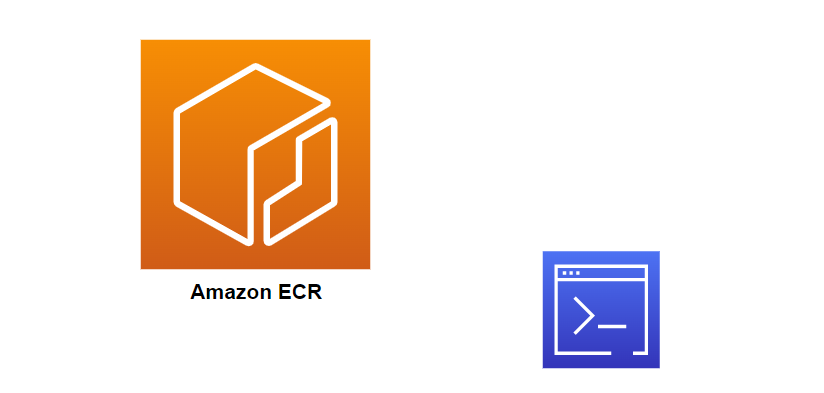 Amazon Registry Logo
