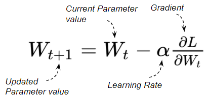 Differential and Adaptive Learning Rates — Neural Network Optimizers ...