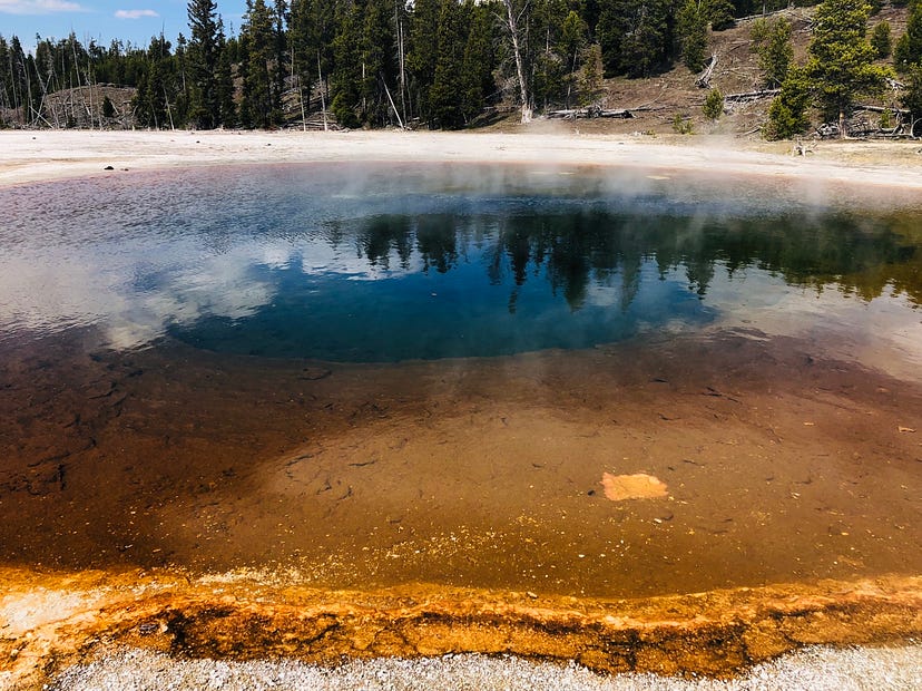 6 Spots and Walks you don’t want to miss in Yellowstone National Park ...