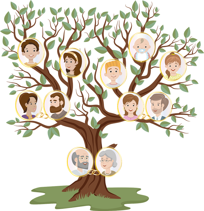 How to Build Your Free Family Tree | by Jared Bouchard | Aug, 2022 | Medium