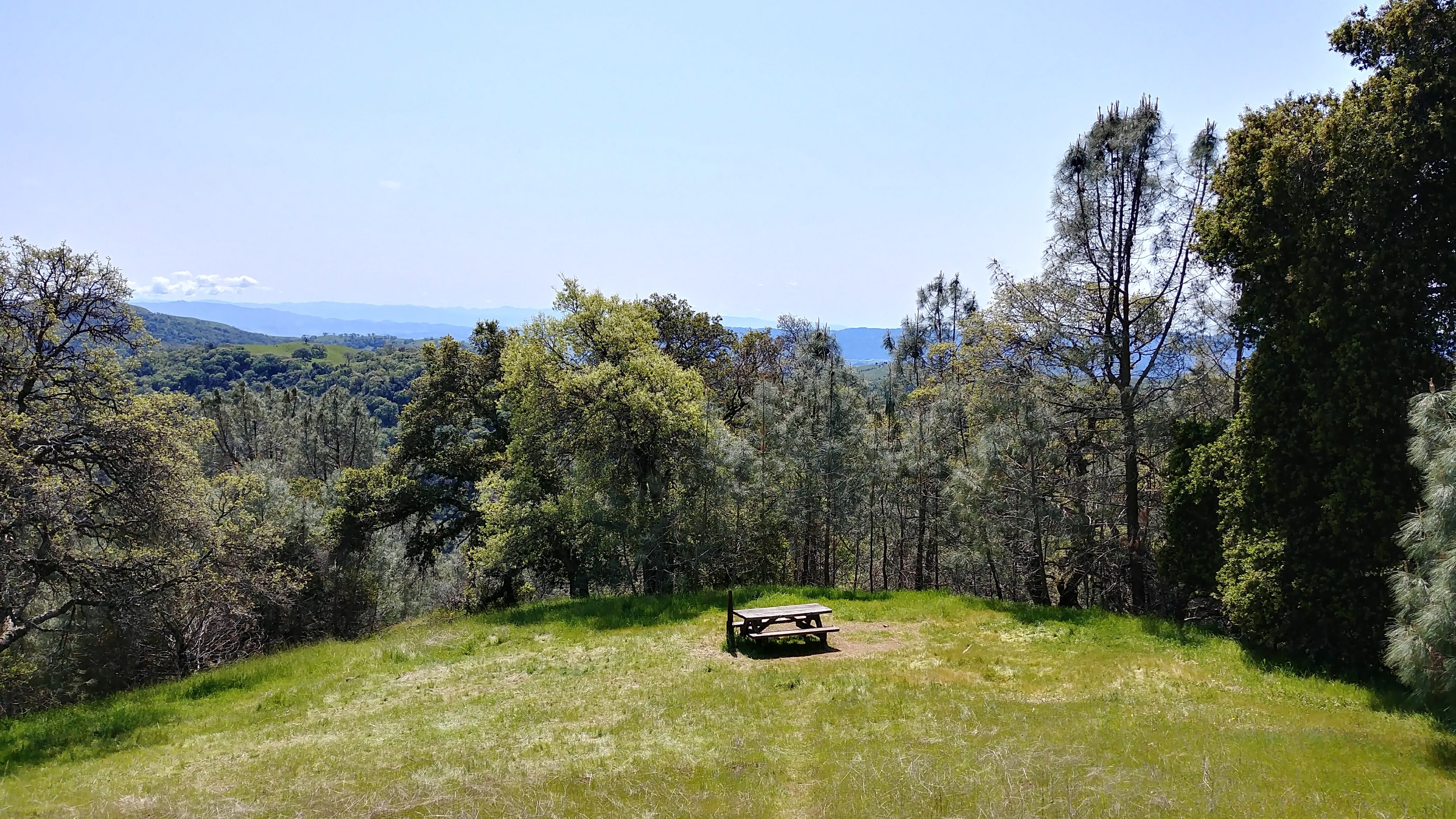 Hiking in Henry Coe: a wildflower preview | by Norbert Szmyt | Medium