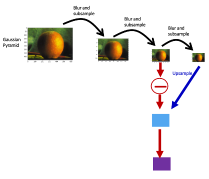 Image Blending Using Laplacian Pyramids | by Michelle Zhao | Becoming ...