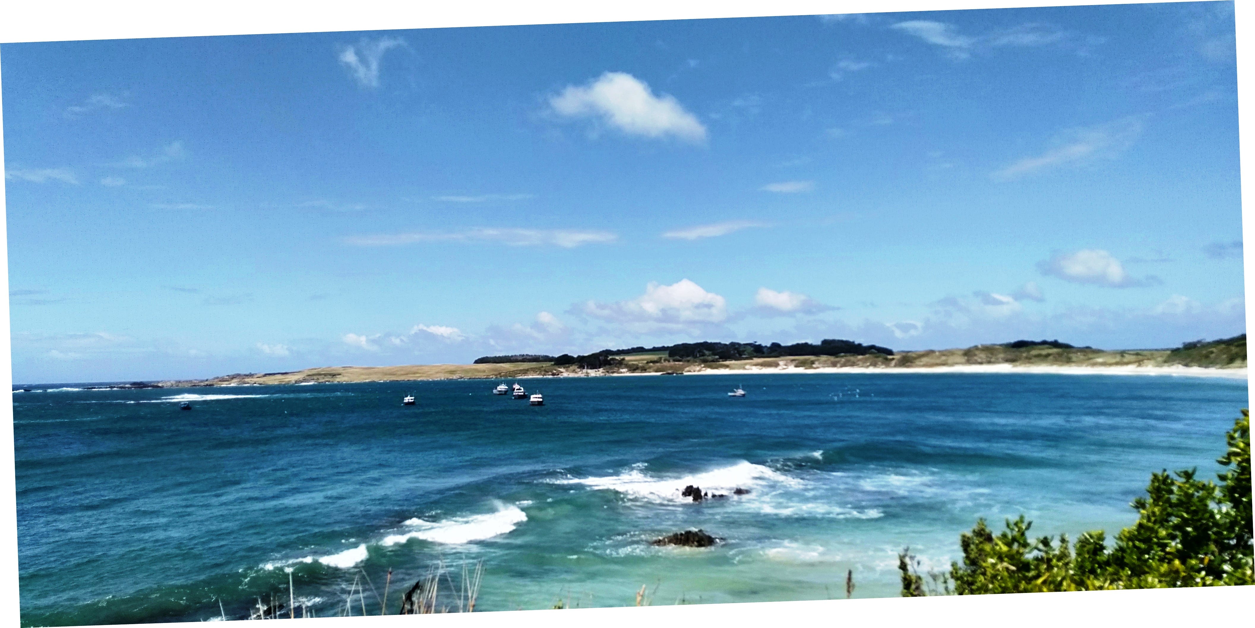 The Lonely Landscape of the Chatham Islands, where the coronavirus ...