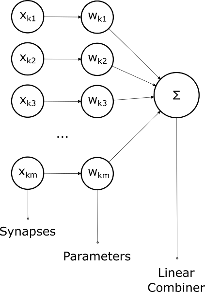 Introduction to Neurons in Neural Networks | by Samuel Rowe ...