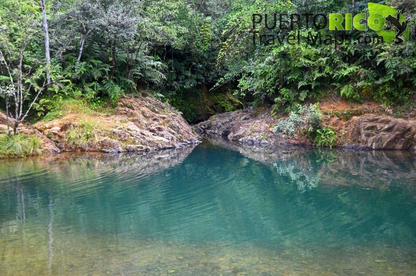 hidro-esperanza. aguas verdes por el reflejo de árboles… | by Nadja ...