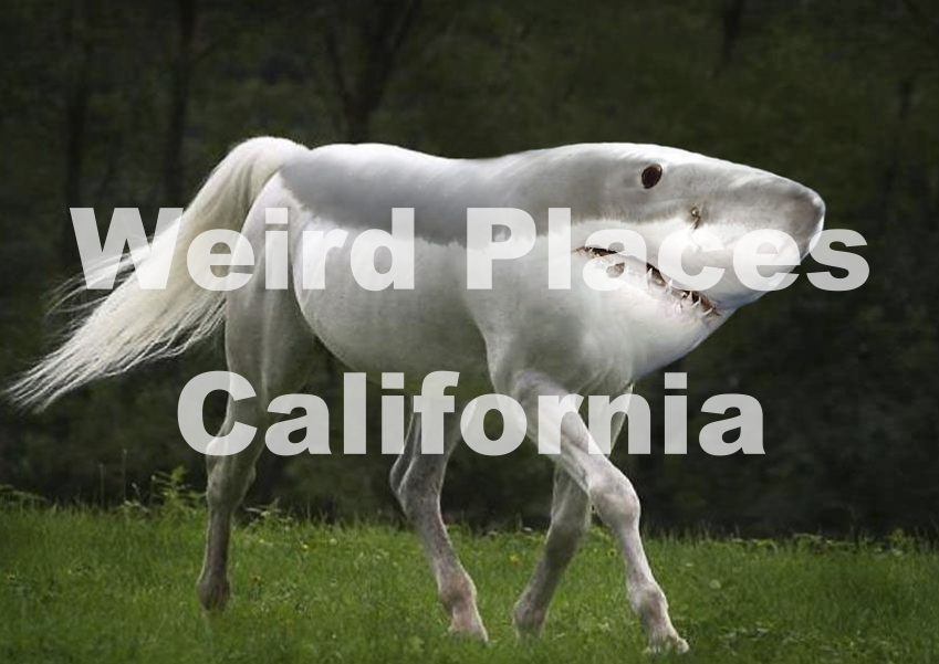Weird Places to Visit in California | by Word Smith | Medium