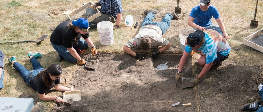 What she found in the Ground. It’s not every day that you stumble… | by ...