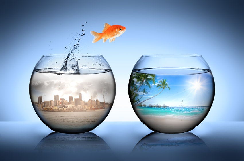 Regaining control amid all the busyness of life | by Padraig Coaching ...