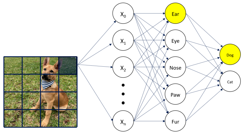 Deep InfoMax | Explanation of Mutual Information Maximization | by James Laughridge | Machine ...