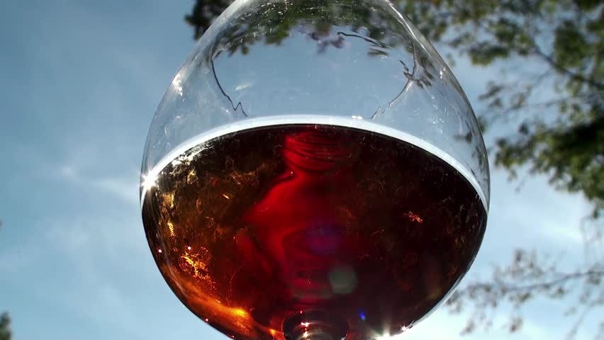 Barcelona Wine Tasting: Around the World with Pinot Noir | by Fintan ...