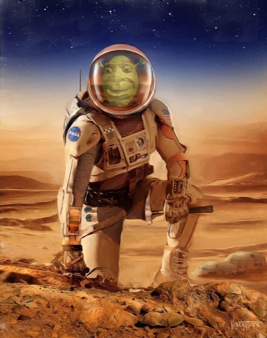 § SPACESHREK PRESALE § - space shrek - Medium
