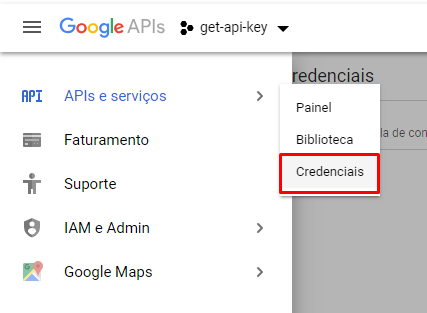 Como conseguir uma chave de API do Google. | by Carlos Levir | Medium