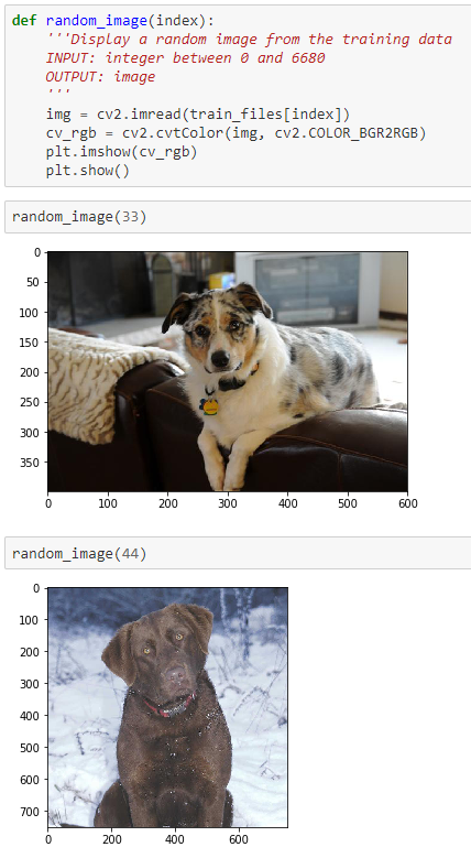 From dogs to classifiers. Breaking down complexity into corgi… | by ...
