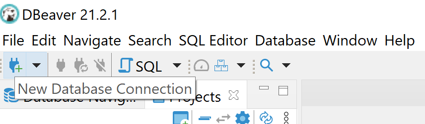 Conectando no banco de dados PostgreSQL utilizando DBeaver Community | by Alex de Paula | Medium