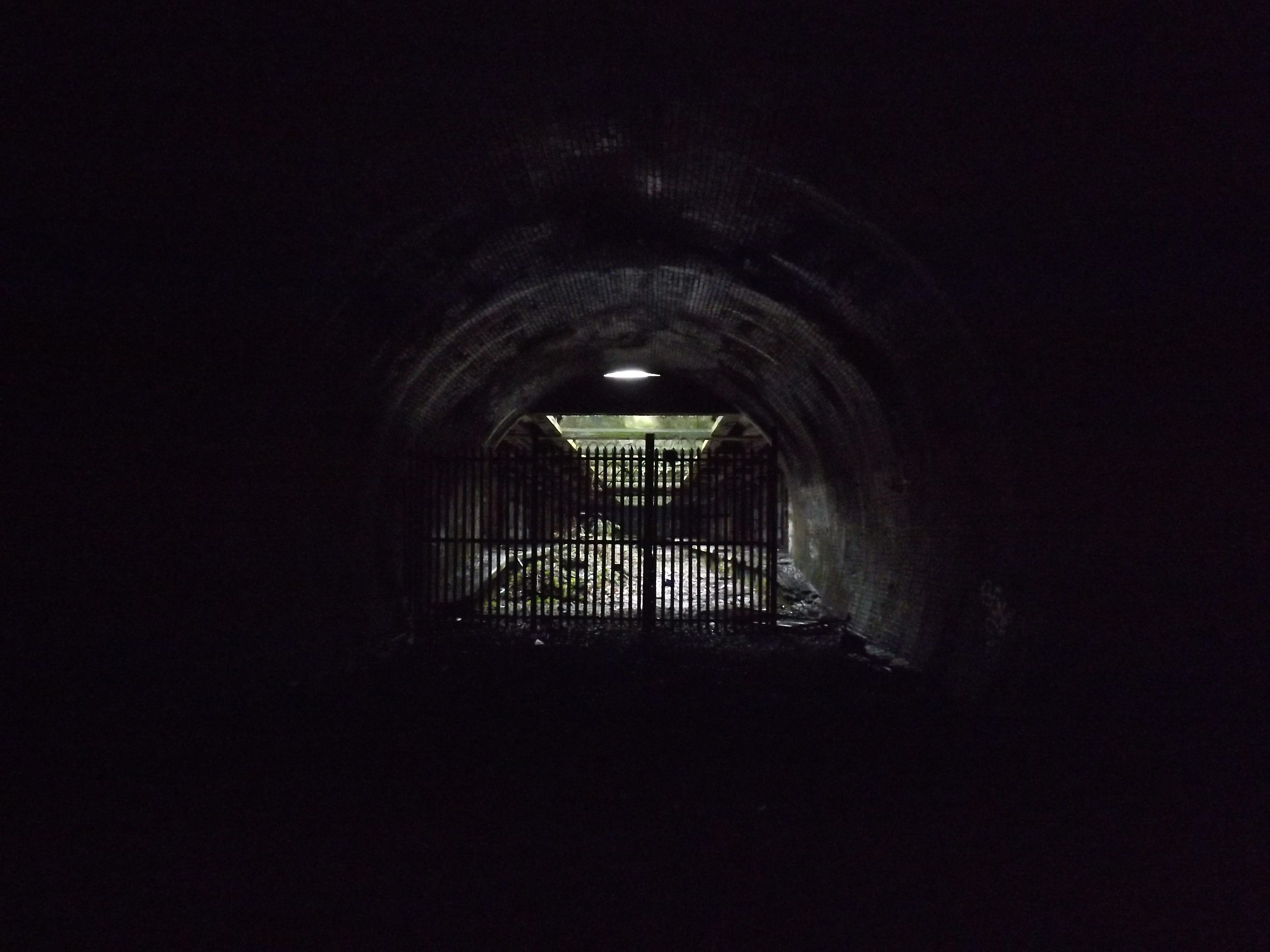 Botanic Gardens railway station. The Botanic Gardens railway station is ...