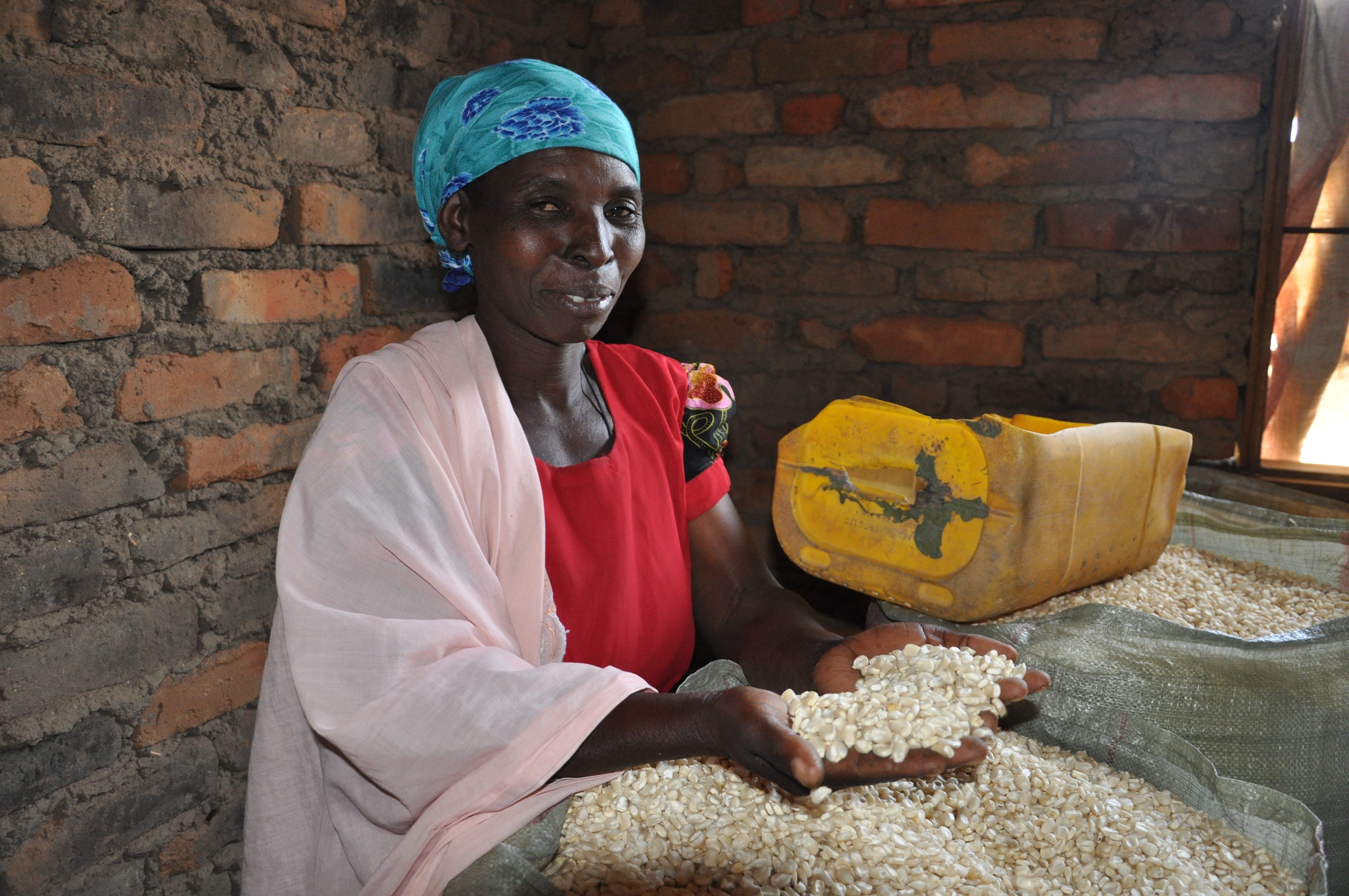 Farmers in Tanzania reaping the rewards with Farm to Market Alliance ...