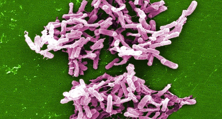 What is C. difficile?. These bacteria, called Clostridium… | by The Mad ...