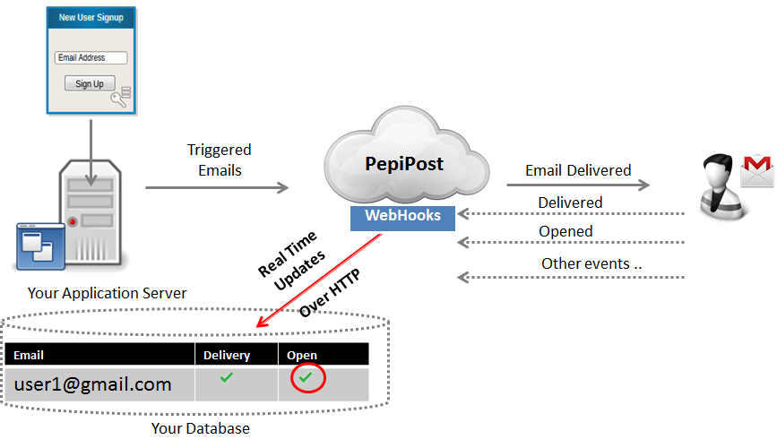The Basics of Webhooks. Webhooks are user-defined HTTP… | by Pepipost ...