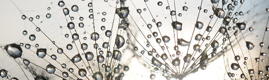 The Difference Between Good and Bad Abstract Wall Art Prints | by ...