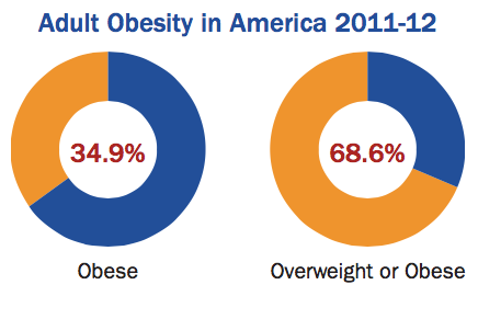 Thoughts on the obesity epidemic: Why we need a multi-faceted approach ...