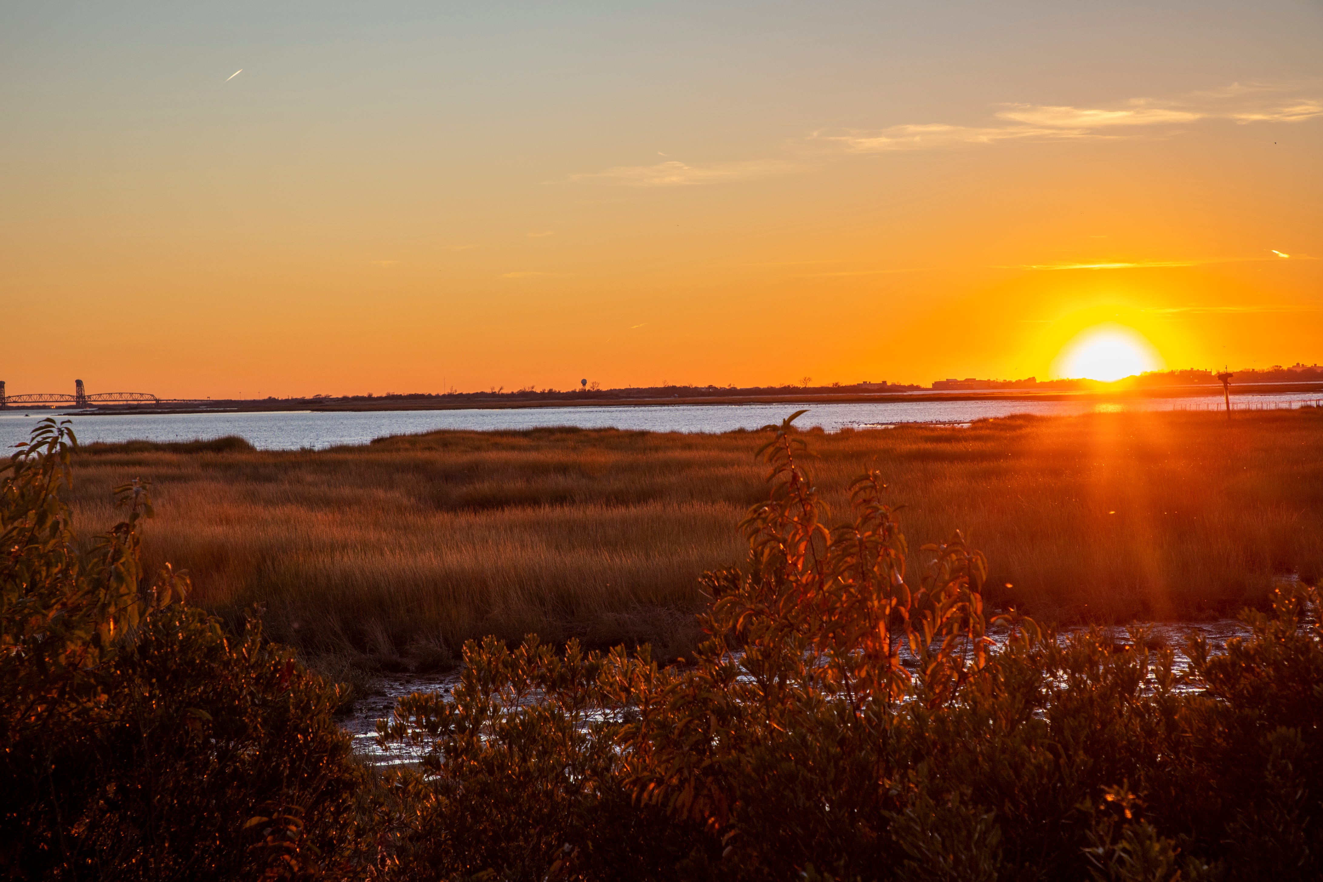 Jamaica Bay Living Shoreline Project | by NYC Water Staff | NYC Water ...
