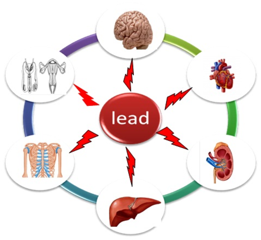 Lead and its health effects. Almost all electronic devices that we ...