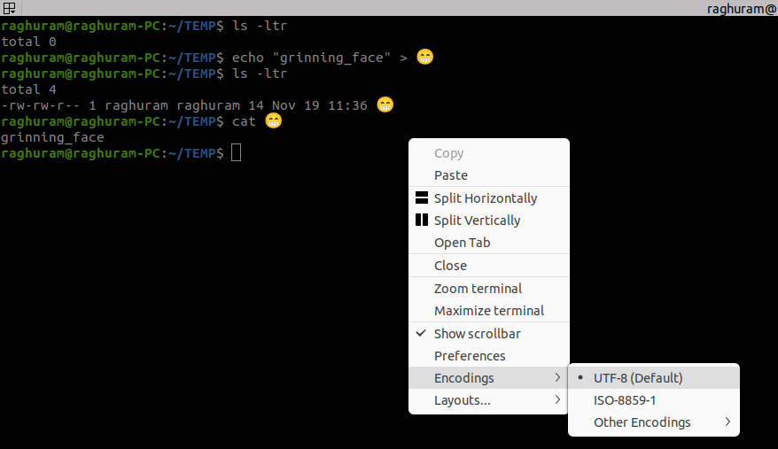 Filenames are just bits on a disk!!! | by Raghuram Krishnaswami | Nov ...