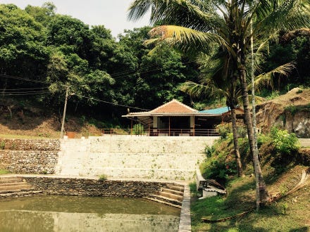 Trip to Balur. The trip to Balur estate started with a… | by Brunda K ...