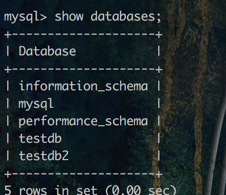 Create a Master-Slave Replication Using Mysql | by Stephen kanyi | Medium