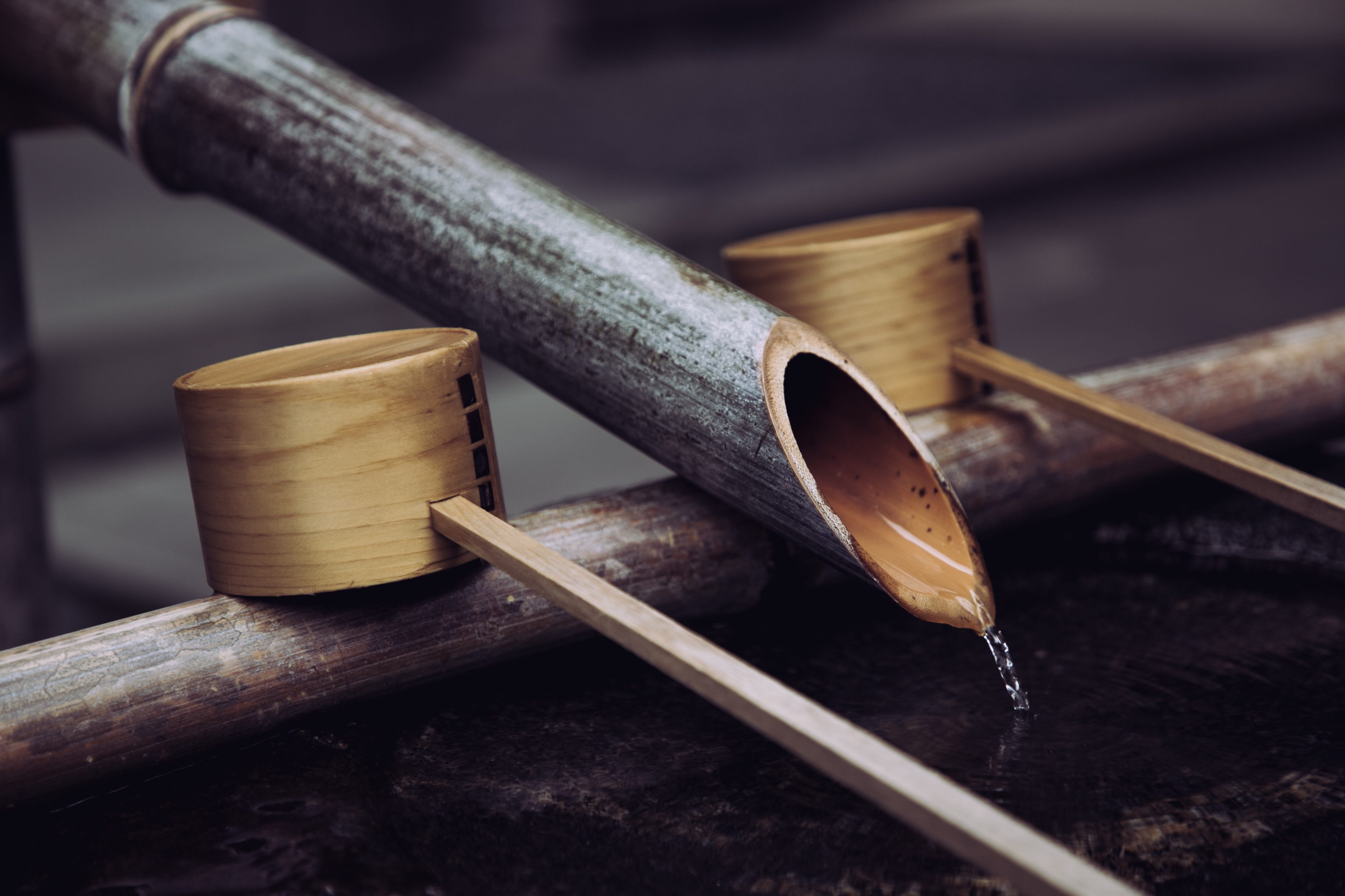 How to Make Your Python Code More Elegant | by Hannibal Liang | Better Programming | Medium