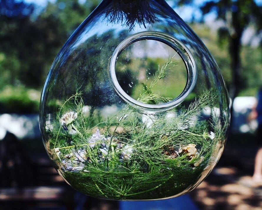 SASsiness in a Time of Quarantine | by Merlin Ince | Medium