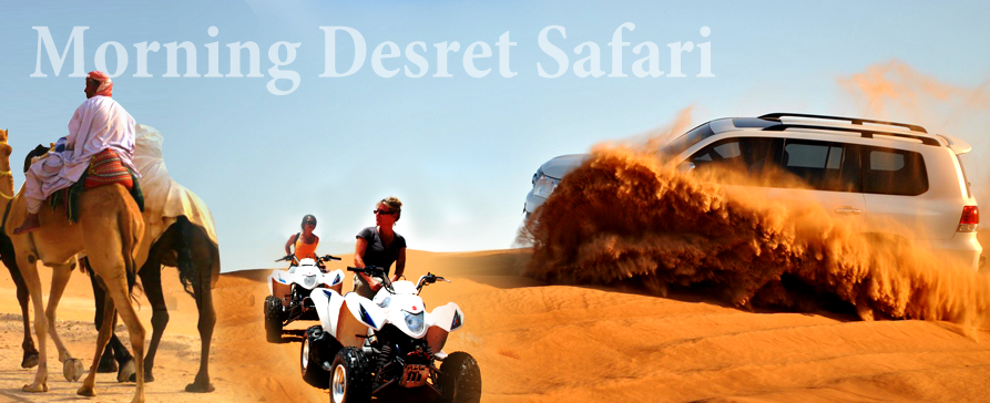Morning Desert Safari Tour Dubai Deals — Best Safari Company in Dubai ...