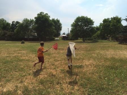 Hope Amidst Challenges at CSU Environmental Learning Center | by Zoe ...