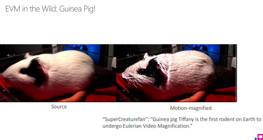 Eulerian Video Magnification. We are going to capture motions in a… | by Jae Duk Seo | Medium