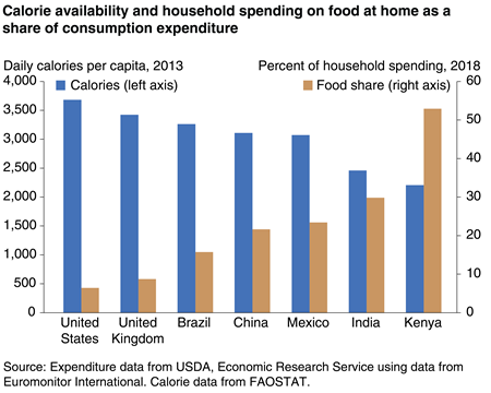 The Cost to Feed the World. Why do we throw out food when people… | by ...