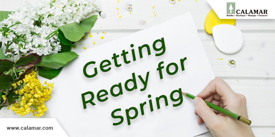 Getting Ready for Spring. Flowers start to bloom and tree start… | by ...