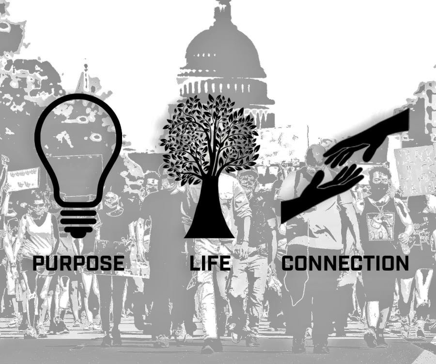 A Path Forward. When I first envisioned Purpose Is… | Jamill C. Jones ...