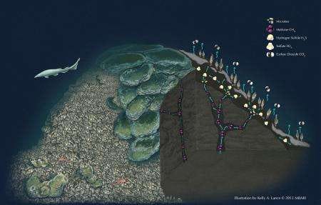New Gold Rush Taking Place in the Deep Sea | by Mariecor Agravante | Medium