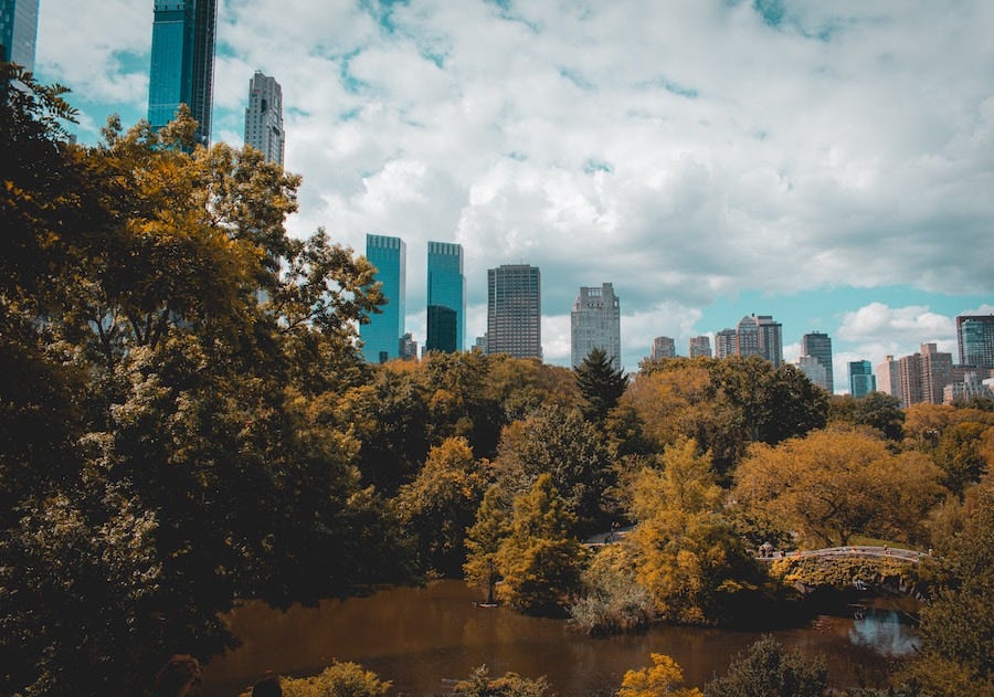Things to do In New York City During Fall | by Christopher Chierchio ...