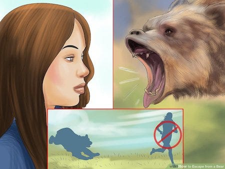 Another 25 Strange, Insanely Beautiful WikiHow Images | by Ted Pillow ...