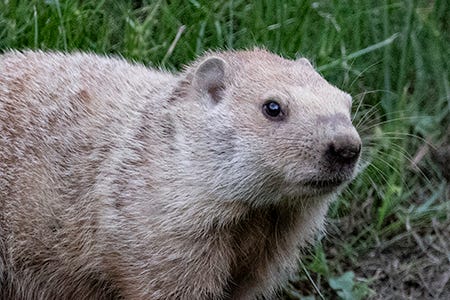 Sea to Shining Sea. FALL 2021 | by Garywbaird | Sep, 2021 | Medium