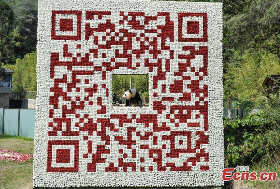 Random Roundup #27. Crazy QR Codes, Curing Your Tree… | by Jonathan ...
